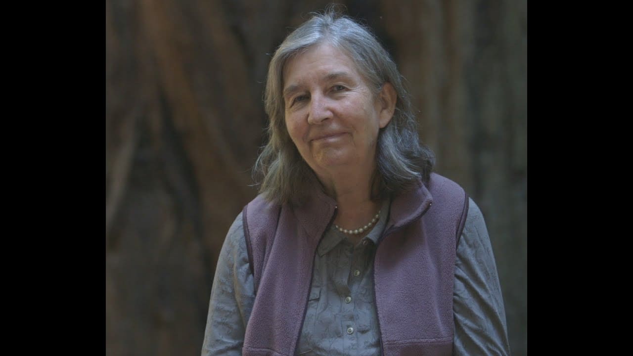Diana Beresford Kroeger | Wisdom of Trees